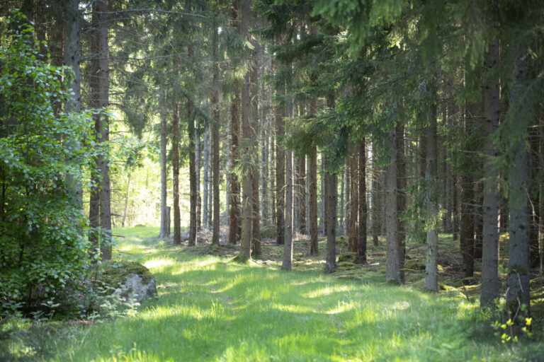 Our Privacy and Cookie Policies